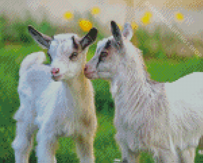 Adorable White Goat - 5D Diamond Paintings - DiamondPaintings.SHOP