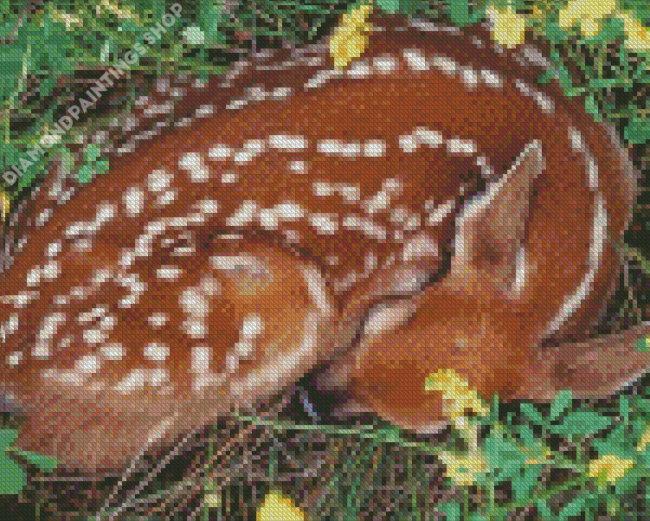 Resting Deer - 5D Diamond Paintings - DiamondPaintings.SHOP